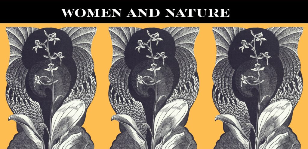 Exhibits - Lloyd Library