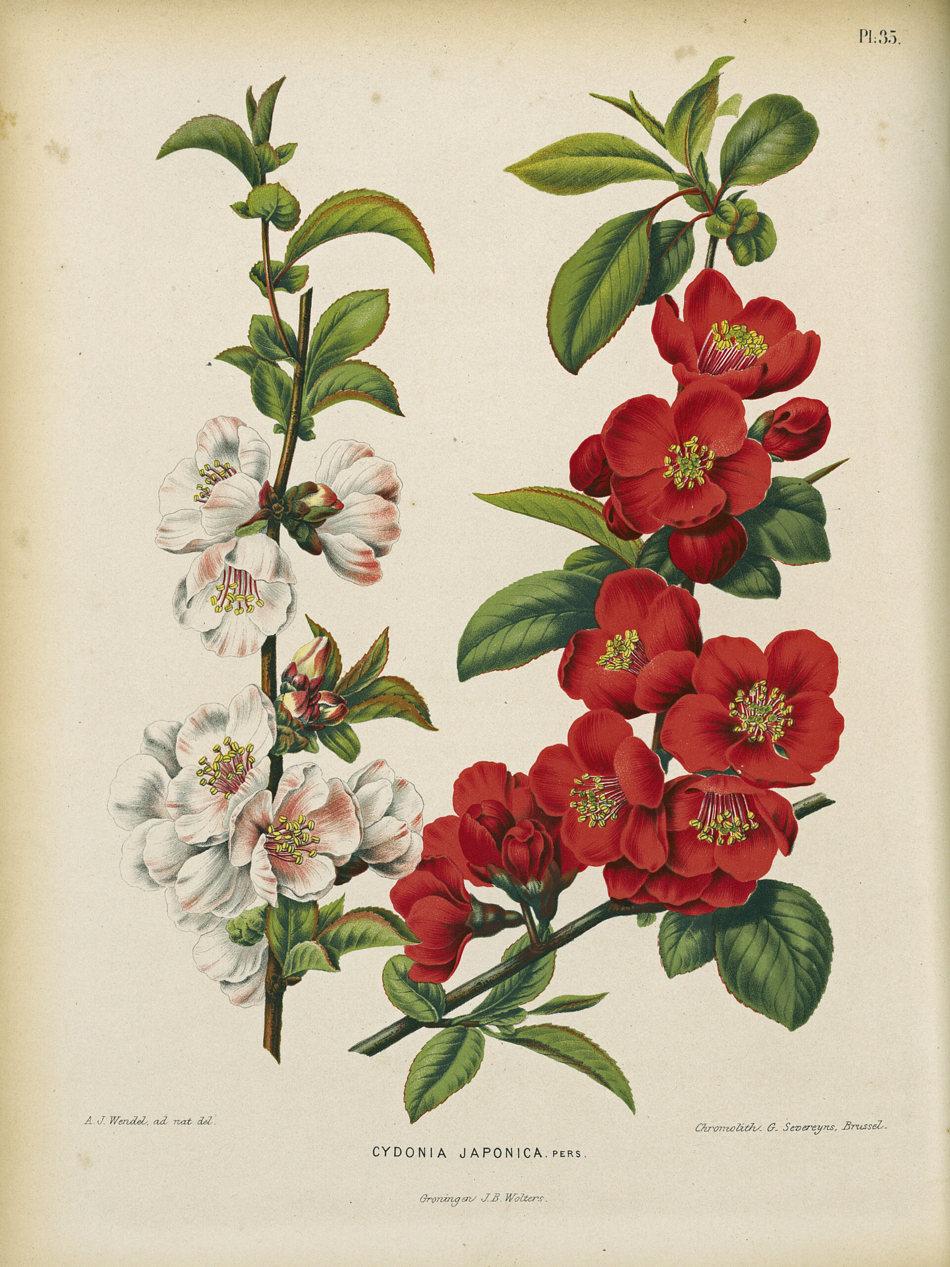 Lloyd Shop - Lloyd Library