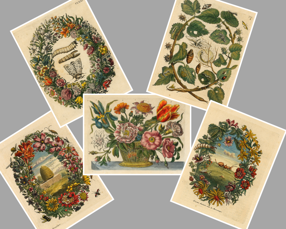 Lloyd Shop - Lloyd Library