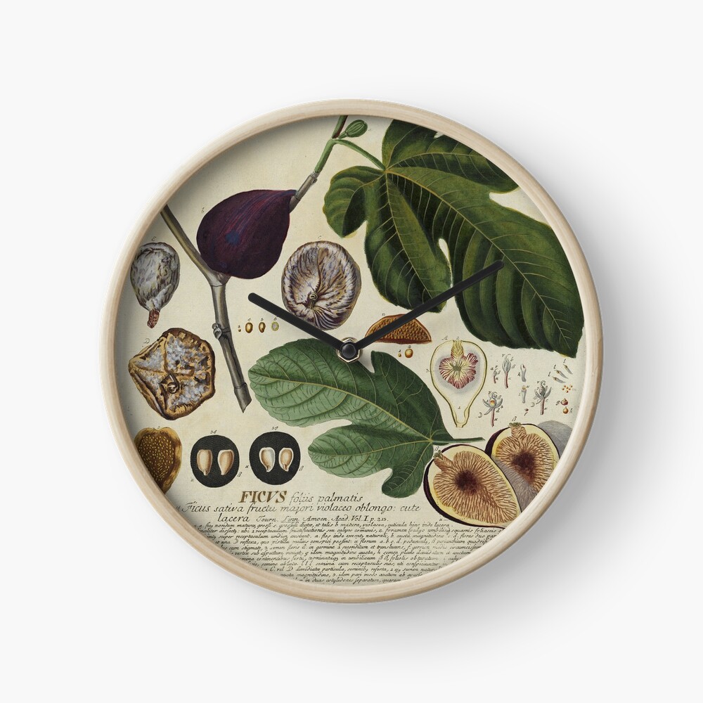 Lloyd Shop - Lloyd Library