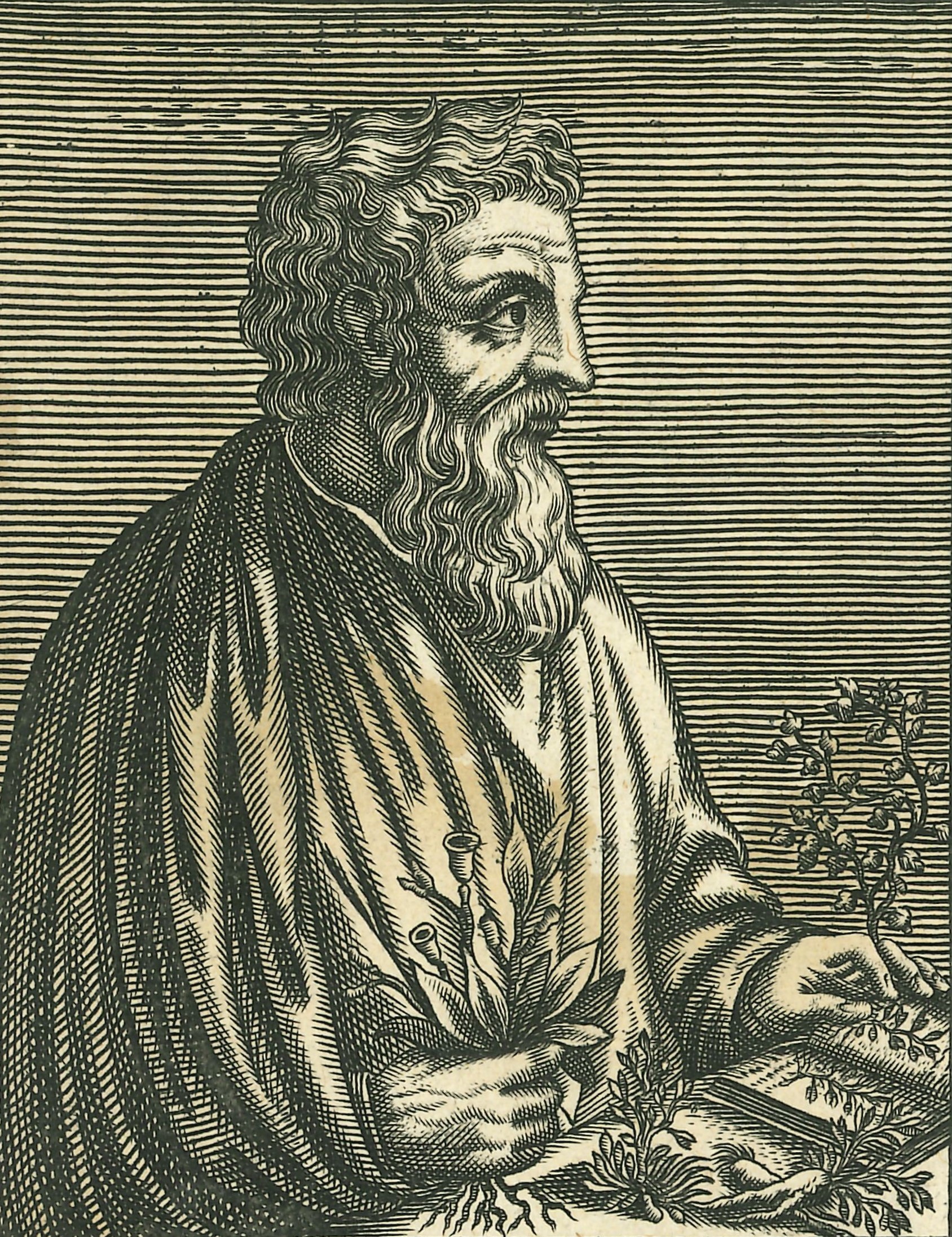 Mustard, Medicine and Health - Lloyd Library