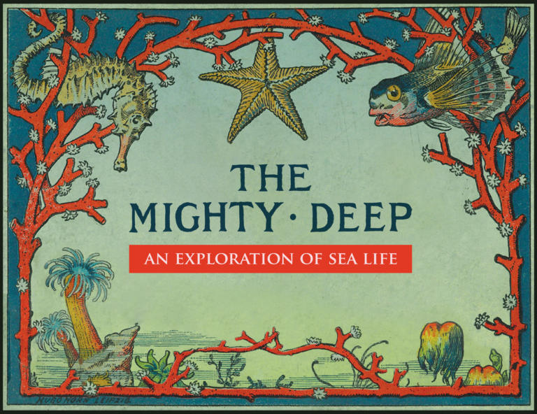 Exhibits - Lloyd Library