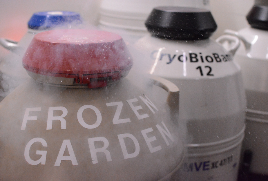 News & Events - Lloyd Library