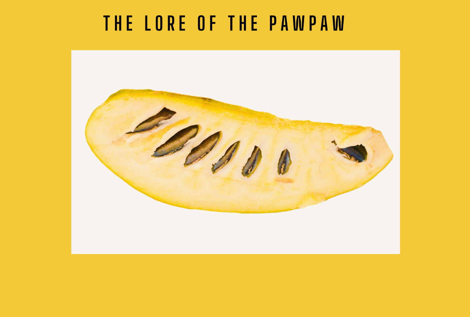 News & Events - Lloyd Library