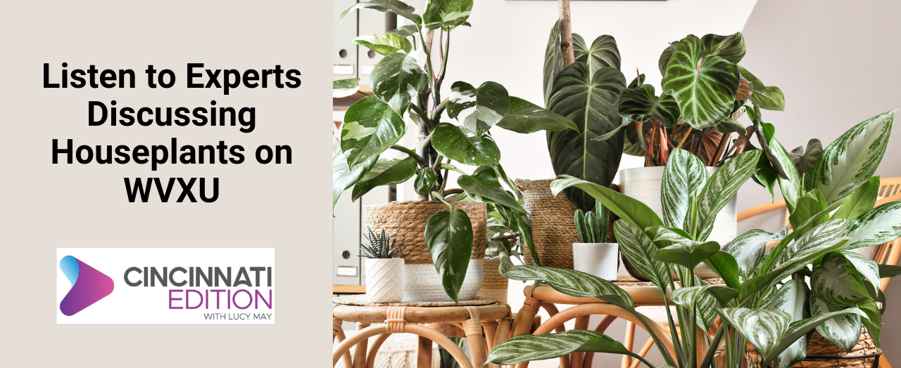 Welcome to the Lloyd - Lloyd Library